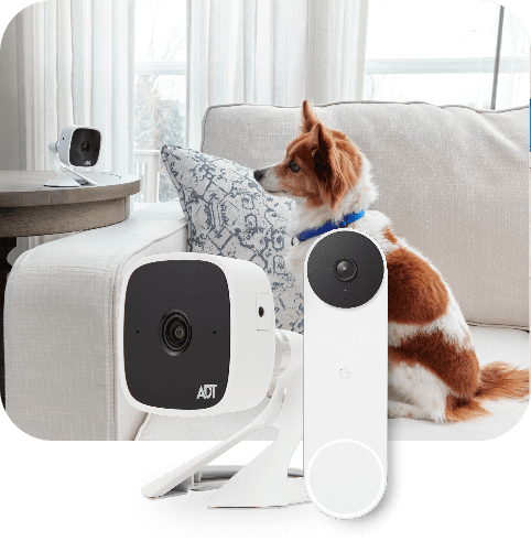 ADT® Home Alarm Systems | #1 Smart Alarm Systems Provider