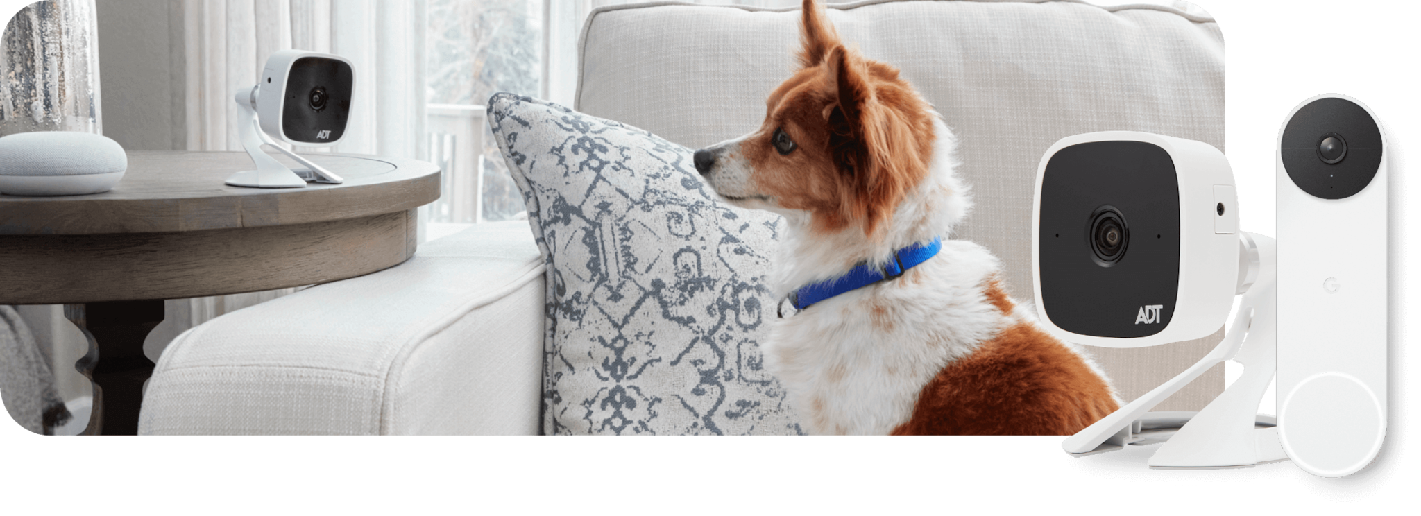 ADT® Home Alarm Systems | #1 Smart Alarm Systems Provider