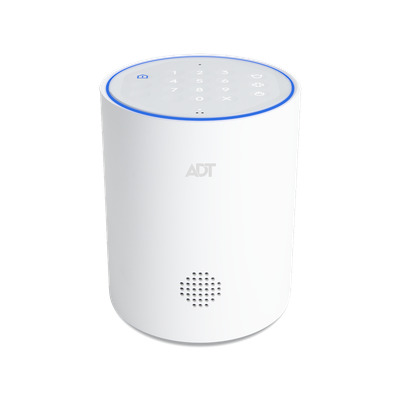 Outdoor Video - Security Camera Systems | ADT