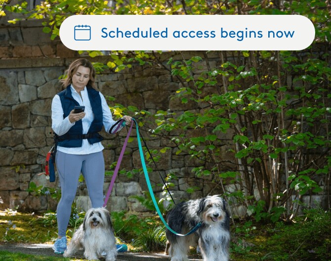 Outdoor Video - Security Camera Systems | ADT